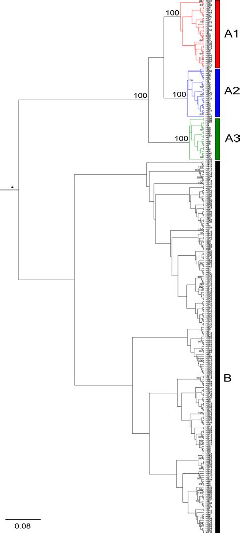 Bayesian Phylogenetic Tree Reconstruction Bayesian Phylogenetic Tree Download Scientific