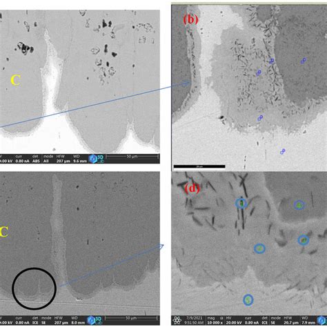 pfib sem images showing the structure that appears at the interface