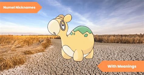 101 Numel Nicknames A Cascade Of Creatively Comical Name Ideas For