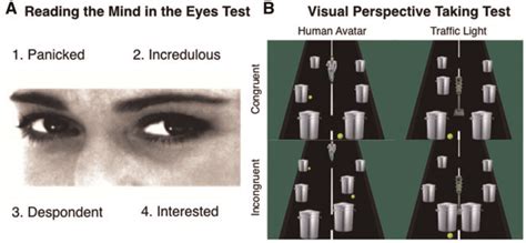 A Example From The Reading The Mind In The Eyes Test Rmet And B Download Scientific