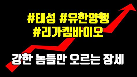 10월10일 상당히 어려운 장세입니다 종목 대응을 잘 해야합니다이 종목들에 집중하세요주식강의 차트분석 차트강의 종목