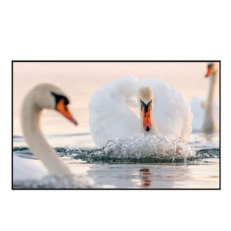 Inch TFT LCD Display X EDP Interface IPS High Brightness LCD Module YOURITECH