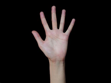 写真素材手写真素材