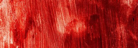 빨간색 배경 할로윈 배경에 대한 혈액 튄 무서운 피 묻은 벽 흰 벽 프리미엄 사진