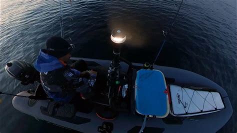 Boat Fishing Youtube
