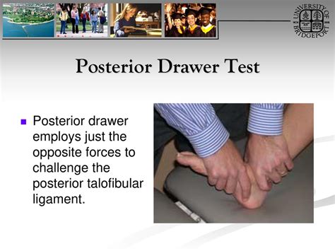 Shoulder Posterior Drawer Test At Alyssa Geddes Blog