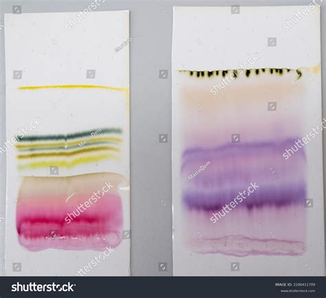 Result Thin Layer Chromatography Laboratory Stock Photo