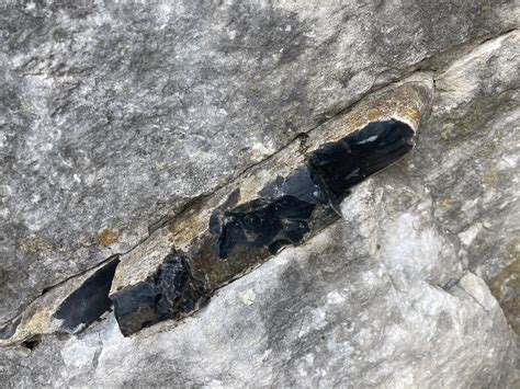 Appears To Be A Flint Mass In A Limestone Matrix Is This Some Sort Of Fossil Album On Imgur
