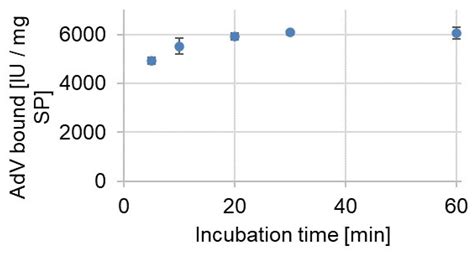 Core Shell Imprinted Particles For Adenovirus Binding