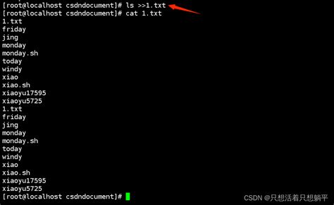 Linux的常见命令（初学）ls 上一条命令的结果快捷键 Csdn博客