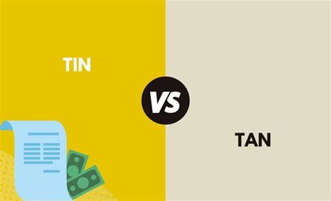TIN Vs TAN What S The Difference With Table Diffzy