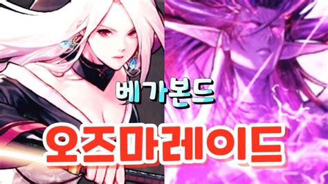 던파 모바일 오즈마 레이드1~3페 베가본드 시점 Youtube