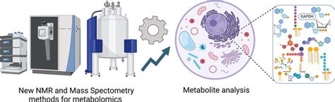 Review Of New Methods In Mass Spectrometry And Nmr Metabolomics Published Today Mccullagh