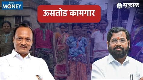 Maharashtra Budget 2024 ऊसतोड कामगारांच्या मुलामुंलीसाठी राज्याच्या