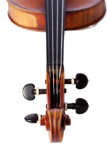 Violín Aislado PNG Imágenes Transparentes Pngtree