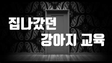 남자19asmr 집나갔던 강아지 교육 Part1 19roleplay 여성향 Roleplay Youtube