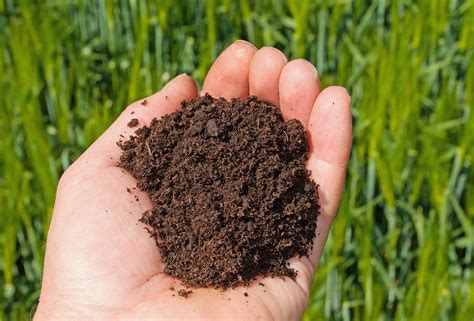 The Difference Between High And Low Quality Topsoil
