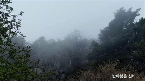 파란 하늘을 볼 수 있는것은 기적이였다 Youtube