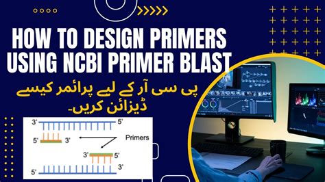 How To Design Primers For Real Time PCR Using NCBI Primer Blast