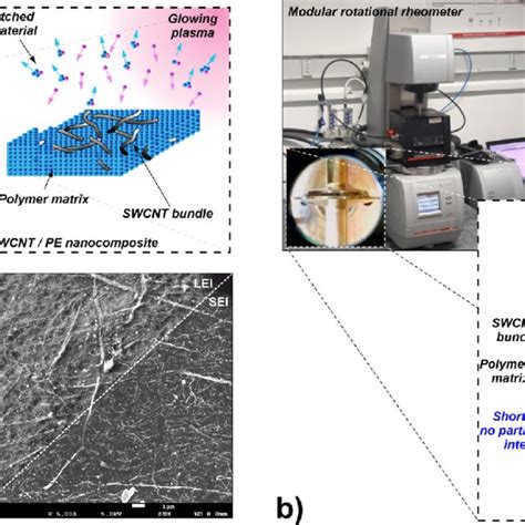 a plasma etching coupled with sem network s morphology and b
