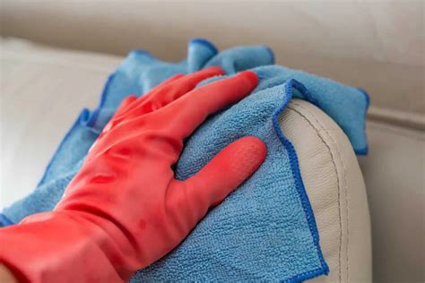 5 Reasons Why Windex Is Bad For Leather Explained