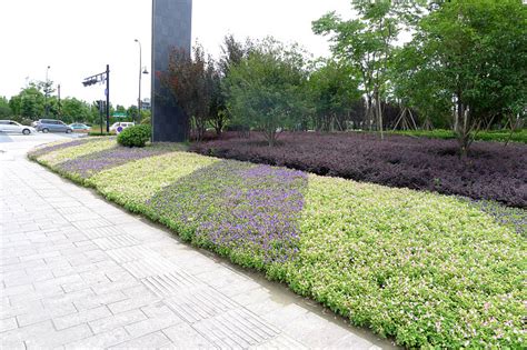 填写作品的相关描述