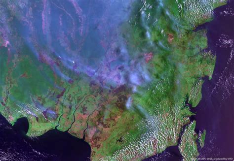 using data of satellite platforms for winter wheat yield forecasting