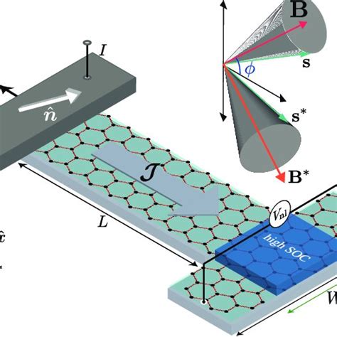 The Injected Non Equilibrium Spin Density S S Parallel To The Fm Download Scientific