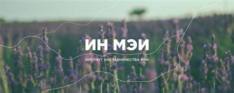 Институт наставничества МЭИ Институт наставничества МЭИ — организация