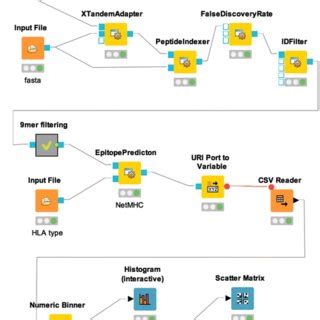 Hla Ligandomics Workflow Combining Native Knime Openms And