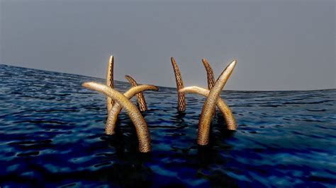 Squids 3d Models Sketchfab