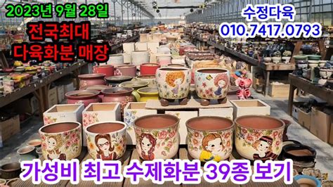 화분 판매 9월 28일 가성비 최고 좋은 수제화분 39종 보기 수정다육 010 7417 0793 타마 향기 홍조 산토방