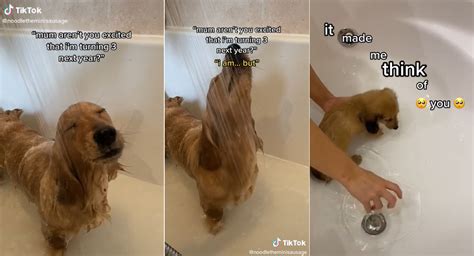 It Made Me Think Of You TikTok Trend Video Gallery Know Your Meme