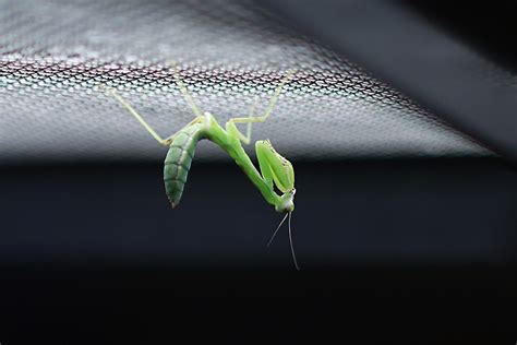 경기도 멀티미디어 여주곤충박물관