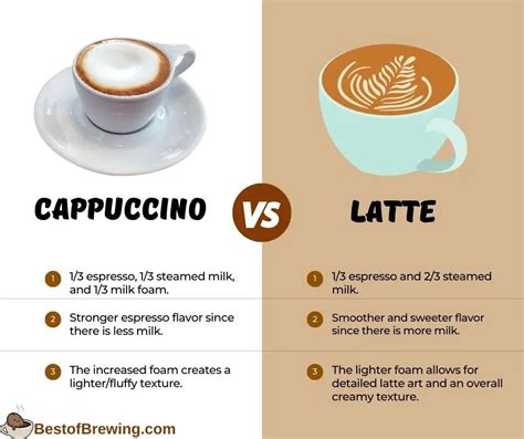 Latte Vs Cappuccino Vs Macchiato Key Differences Explained