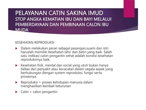 ppt prog catin sakina imud puskesmas 2024 pptx