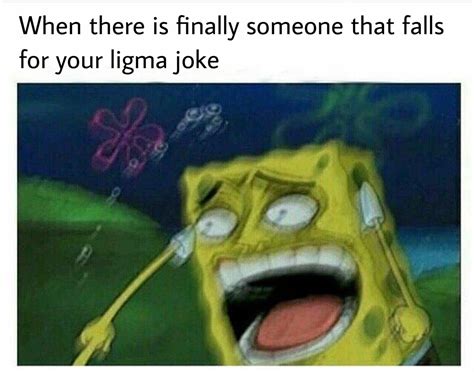 Haha Got You Rdankmemes