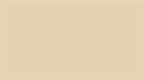 Chowder Bowl Information Hsl Rgb Pantone