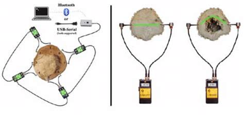 Principle Of Measurement By Acoustic Tools Fakopp A Treesonic™ Model