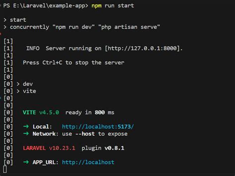 Laravel 中 Npm Run 同时执行多个命令npm Run 执行 2个命令 Csdn博客