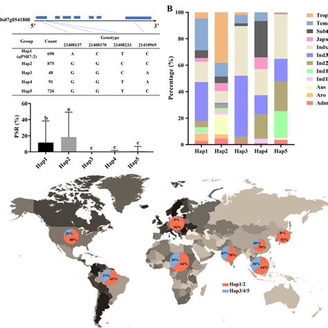Fine Mapping And Functional Verification Of Candidate Genes A Fine Download Scientific