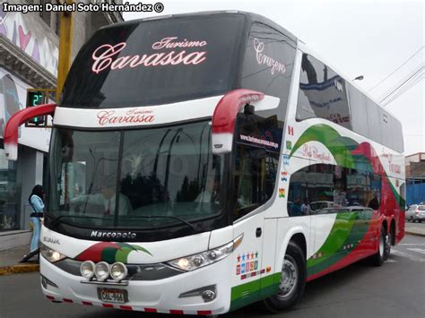 A Todo Bus Chile La Biblioteca Busóloga De Chile