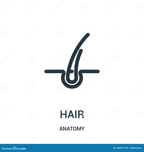 Hair Icon Vector From Anatomy Collection Thin Line Hair Outline Icon