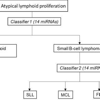 A Proposed Diagnostic Algorithm Incorporating Mirna Based Classifiers