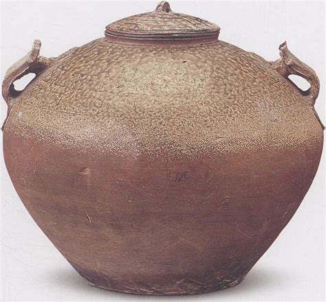 31 褐釉波浪纹双耳瓷坛 国宝鉴赏 图片