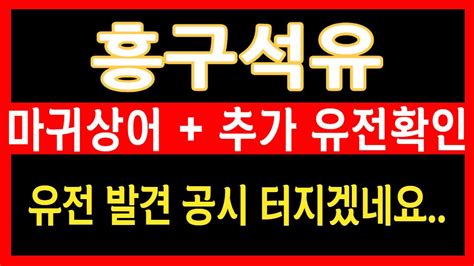 흥구석유 주가전망 대왕고래에 이어 마귀상어 여기에 추가 유전 발견소식 조만간 이 뉴스 터지면서 공시 뜨겠는데요