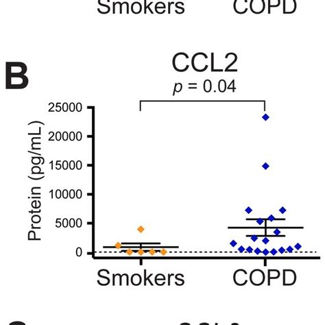 Tcr Stimulated Lung Cd4 T Cells Produce Less Ifn γ Protein But More