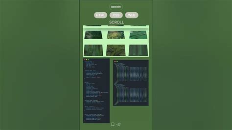 Scrolling Animation Using Css Only Css Html Animation Youtube