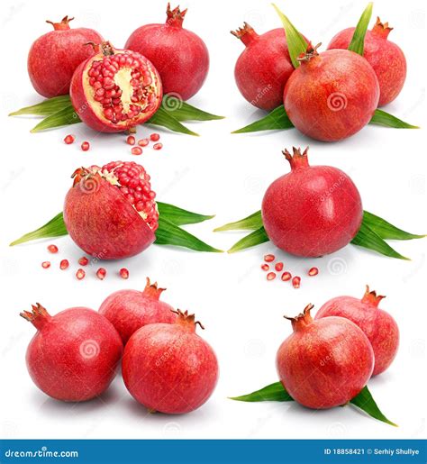 комплект Pomegranate Os листьев плодоовощей зеленый изолированный