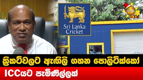 ක්‍ර්‍රිකට්වලට ඇඟිලි ගහන පොලිටික්කෝ Iccයට පැමිණිල්ලක් Hiru News Youtube